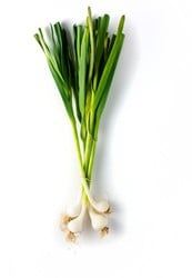 Aardappelen, uien & knolsoorten SAFE BV