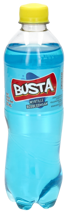 BUSTA BLUEBERRY 12X500ML PET FLES SAFE BV